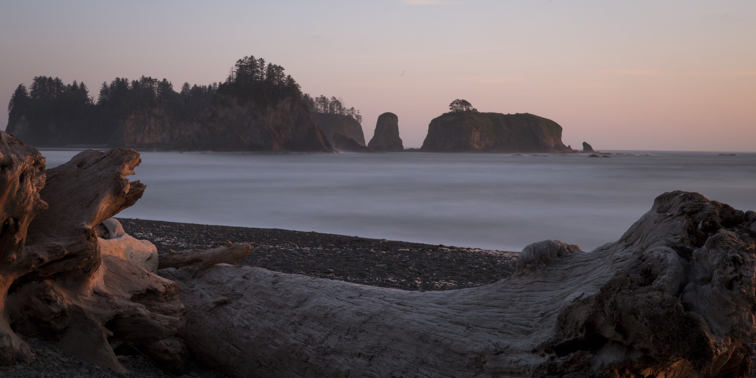 In The Field: Conversations With Our Contributors--Alice Hatcher ...