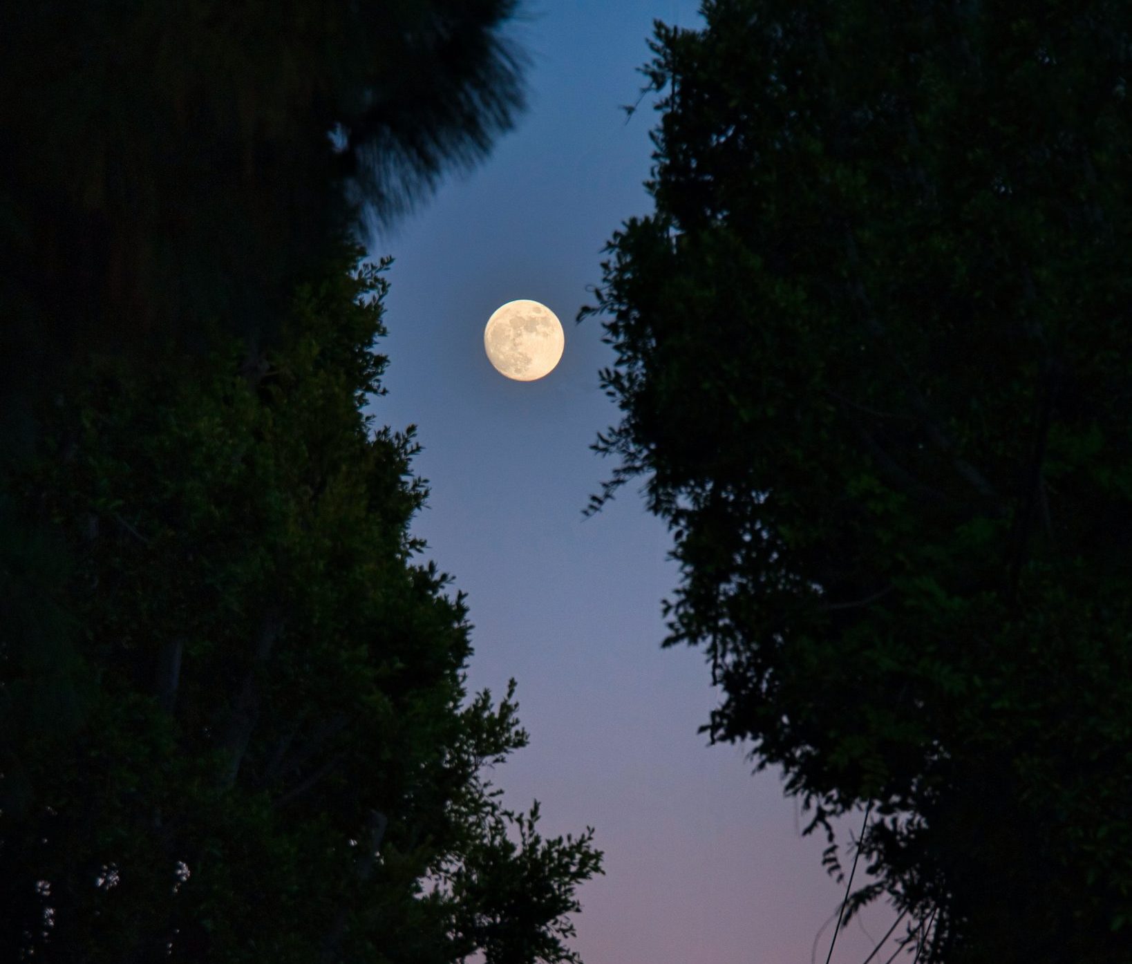 In the Field: Conversations with our Contributors—Interview with Jose Hernandez Diaz | Water ...