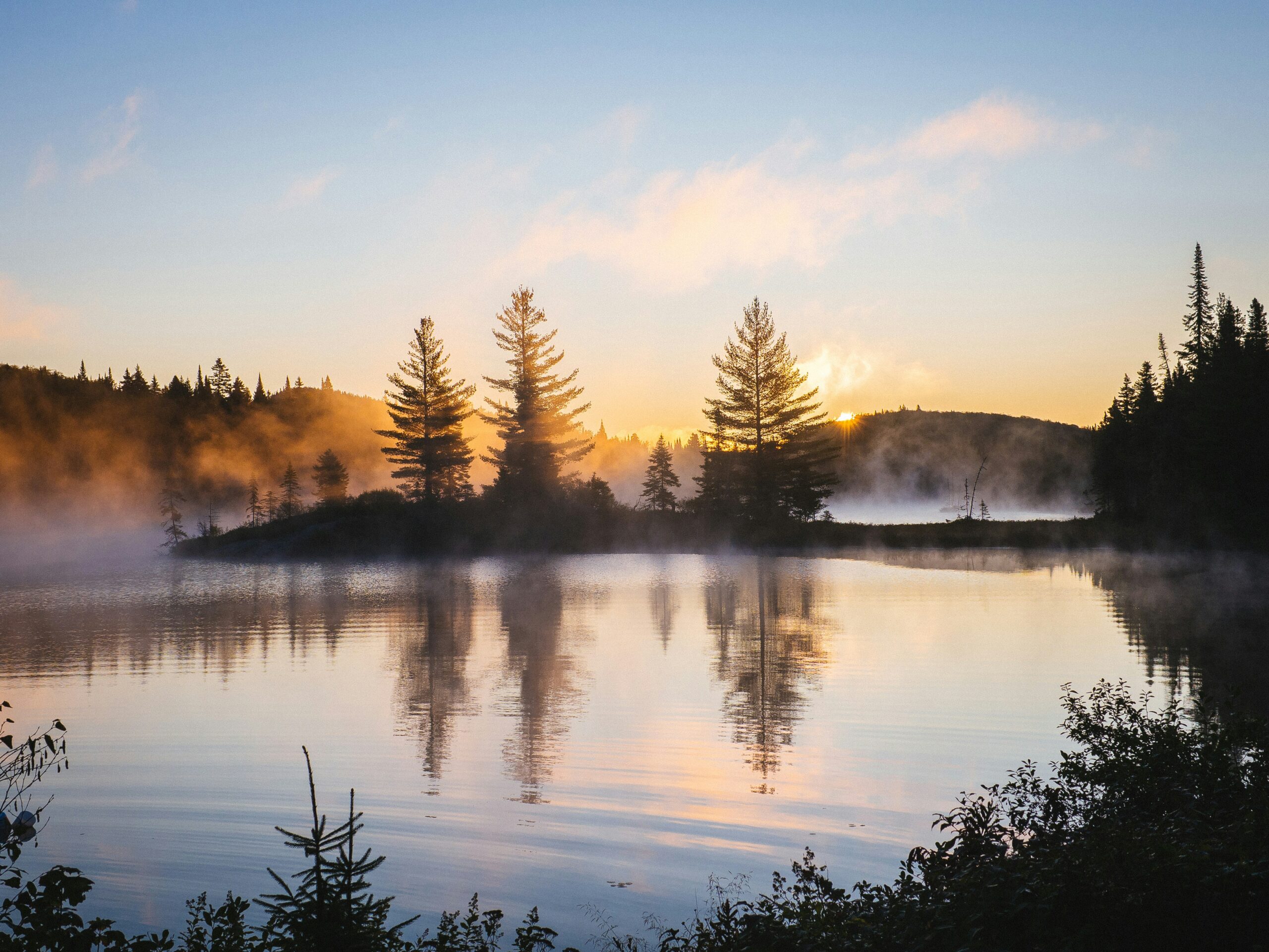 In The Field: Conversations With Our Contributors—Bill Marsh | Water ...